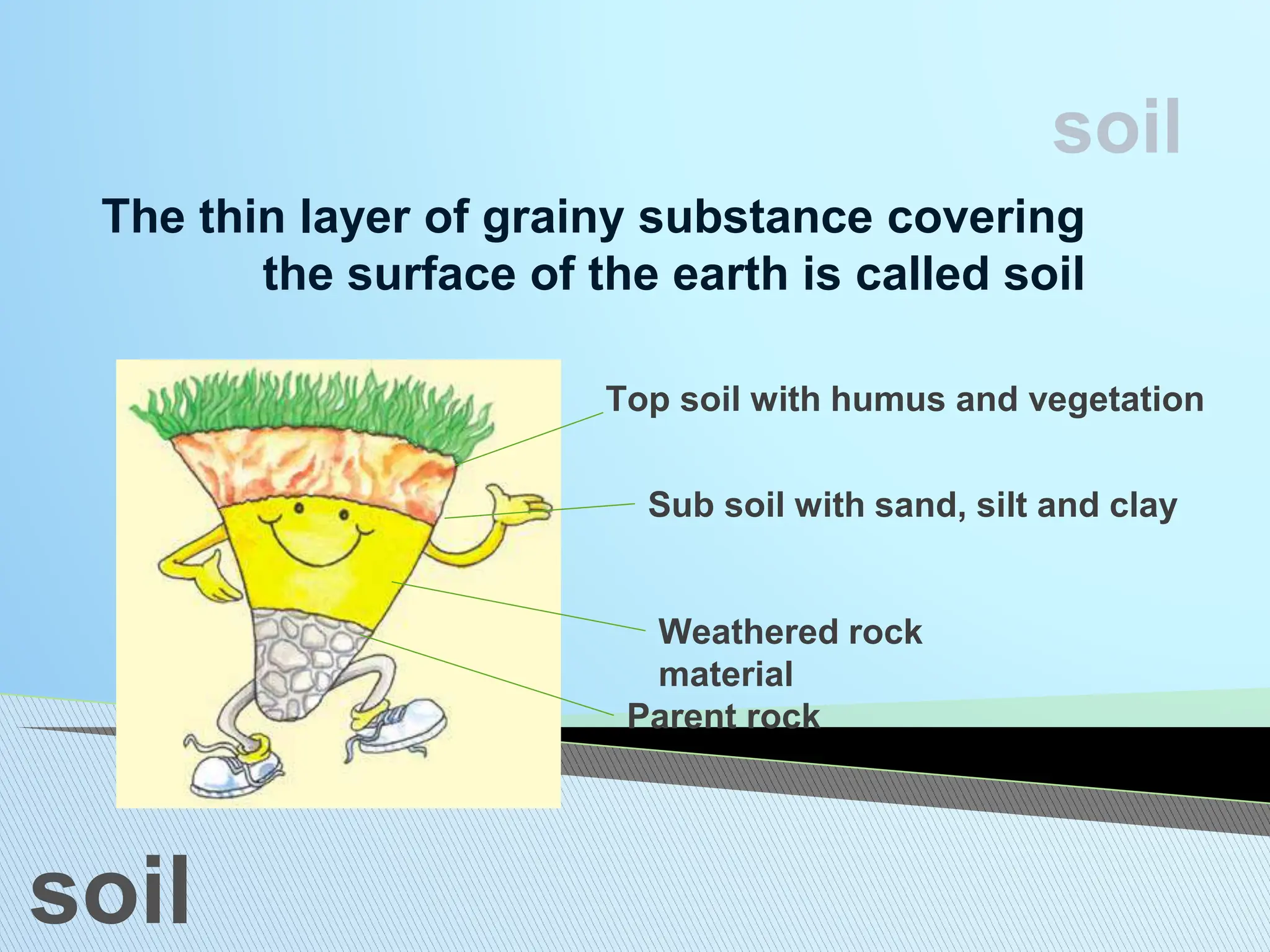 Ch 2 Land, Soil, Water, Natural Vegetation and Wildlife Resources 1.pptx