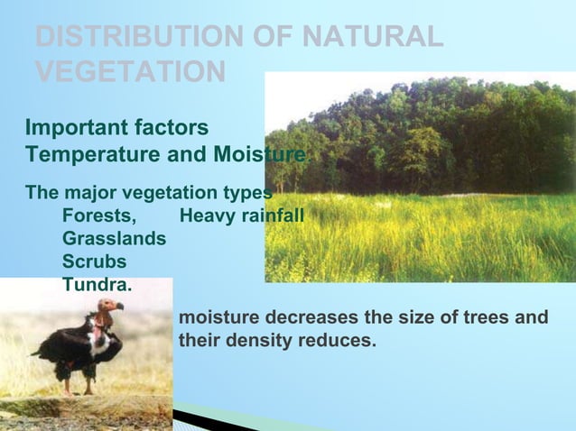 Ch 2 Land, Soil, Water, Natural Vegetation and Wildlife Resources 1 ...