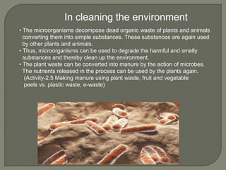 Chapter 2 std 8 Microorganisms 1.pptx