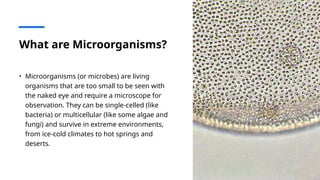 ch 2 Microorganisms: Friend and foe.pptx