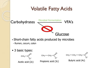 carbohydrates Digestion in Ruminants.pdf