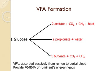 carbohydrates Digestion in Ruminants.pdf