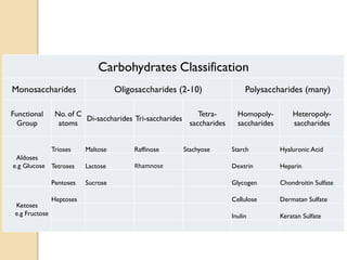 carbohydrates Digestion in Ruminants.pdf