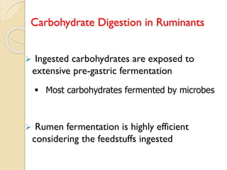 carbohydrates Digestion in Ruminants.pdf