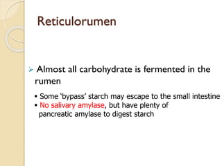 carbohydrates Digestion in Ruminants.pdf