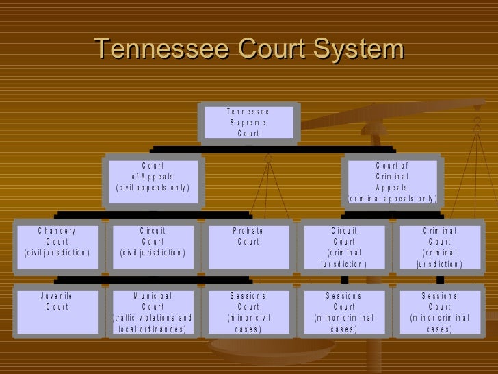 LAW 201 - Ch 2 Organization of the CJ System