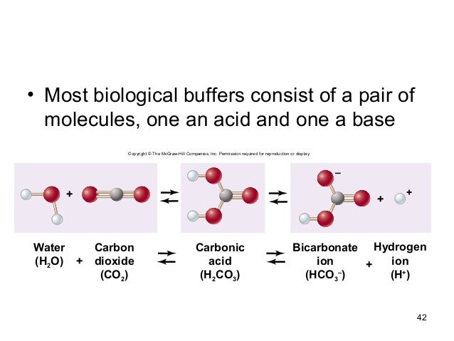 Ch 2 PowerPoint Biology 201