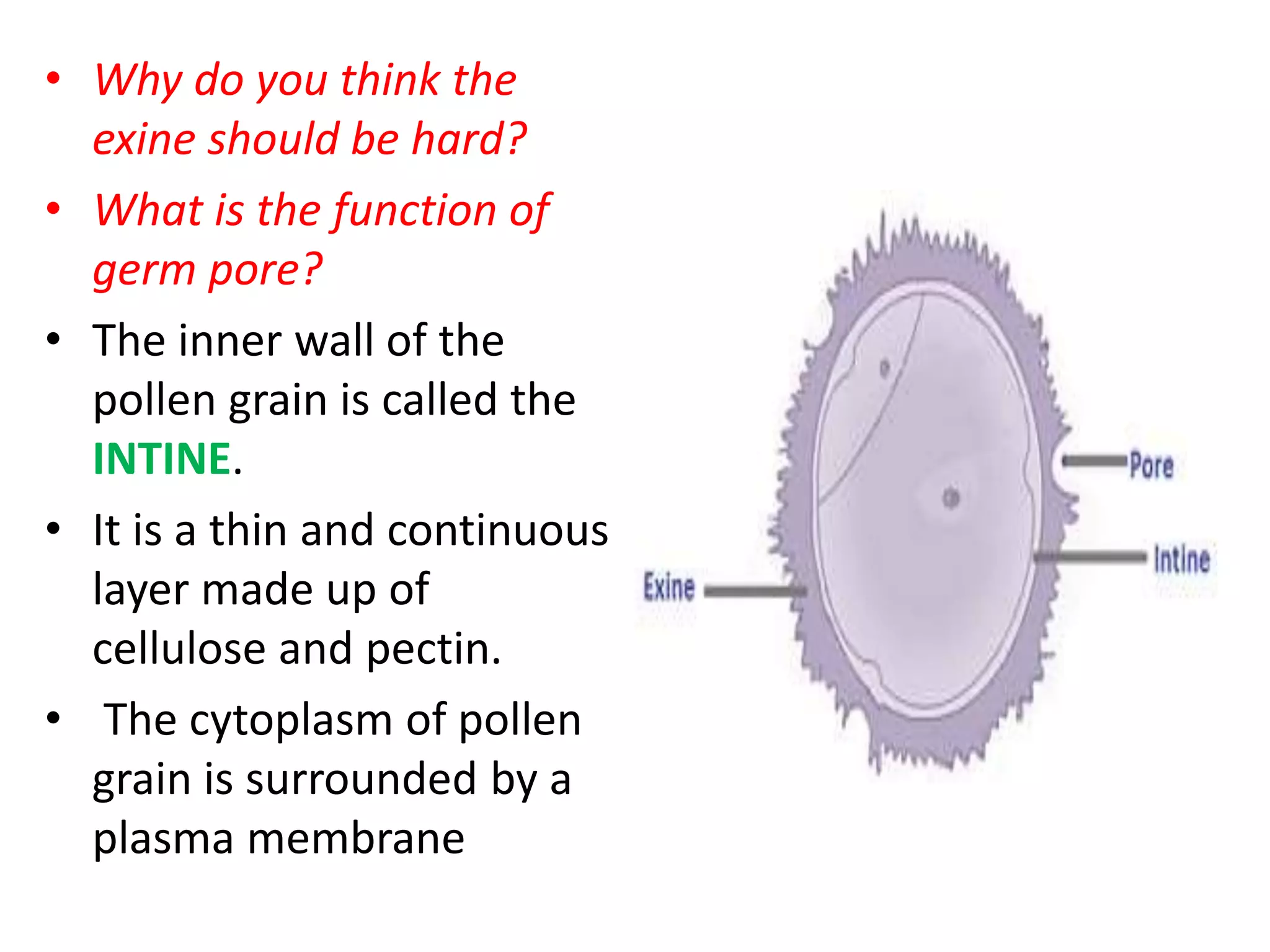 Sexual reproduction in flowering plants | PPTX