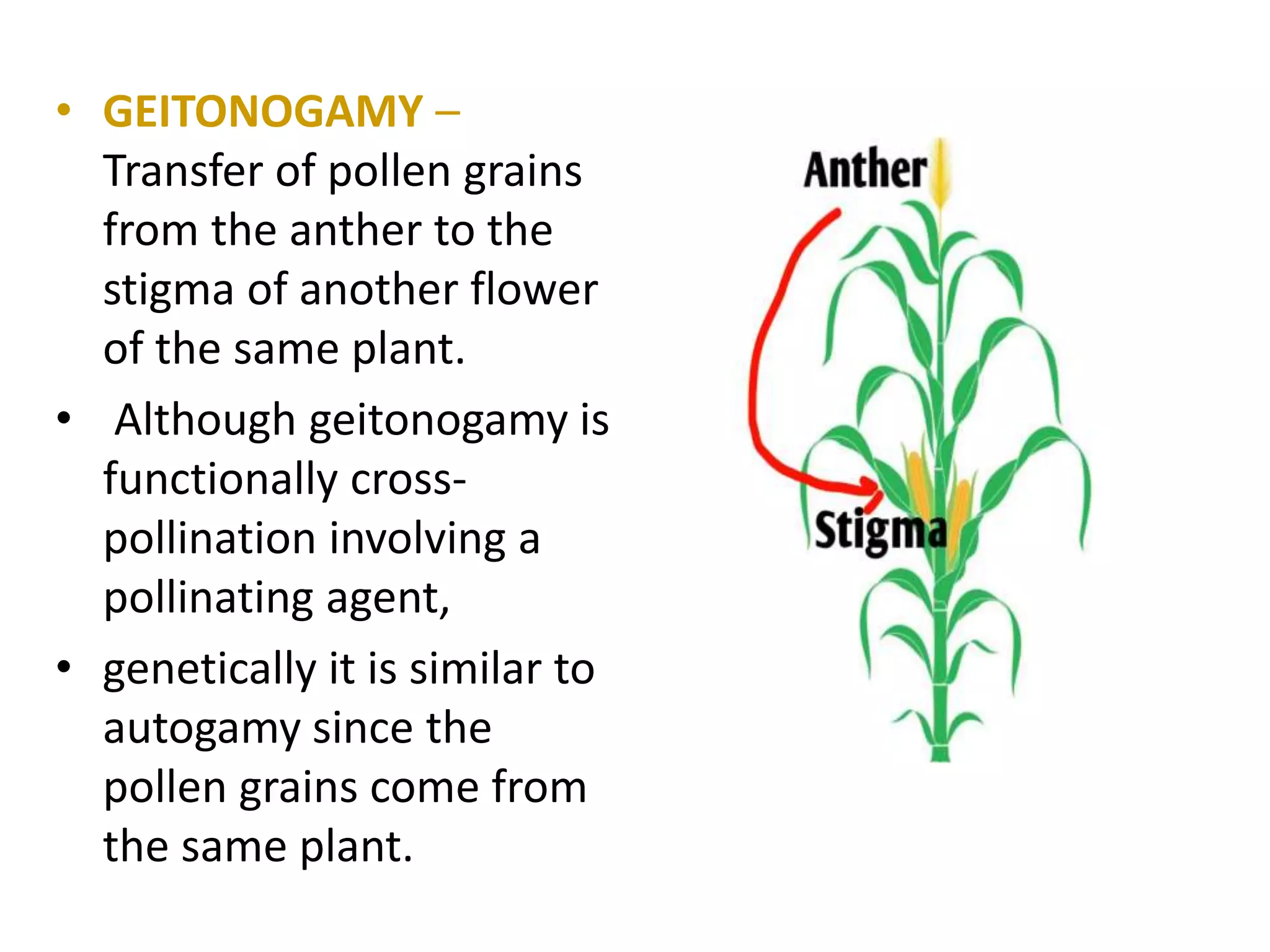 Sexual reproduction in flowering plants | PPTX