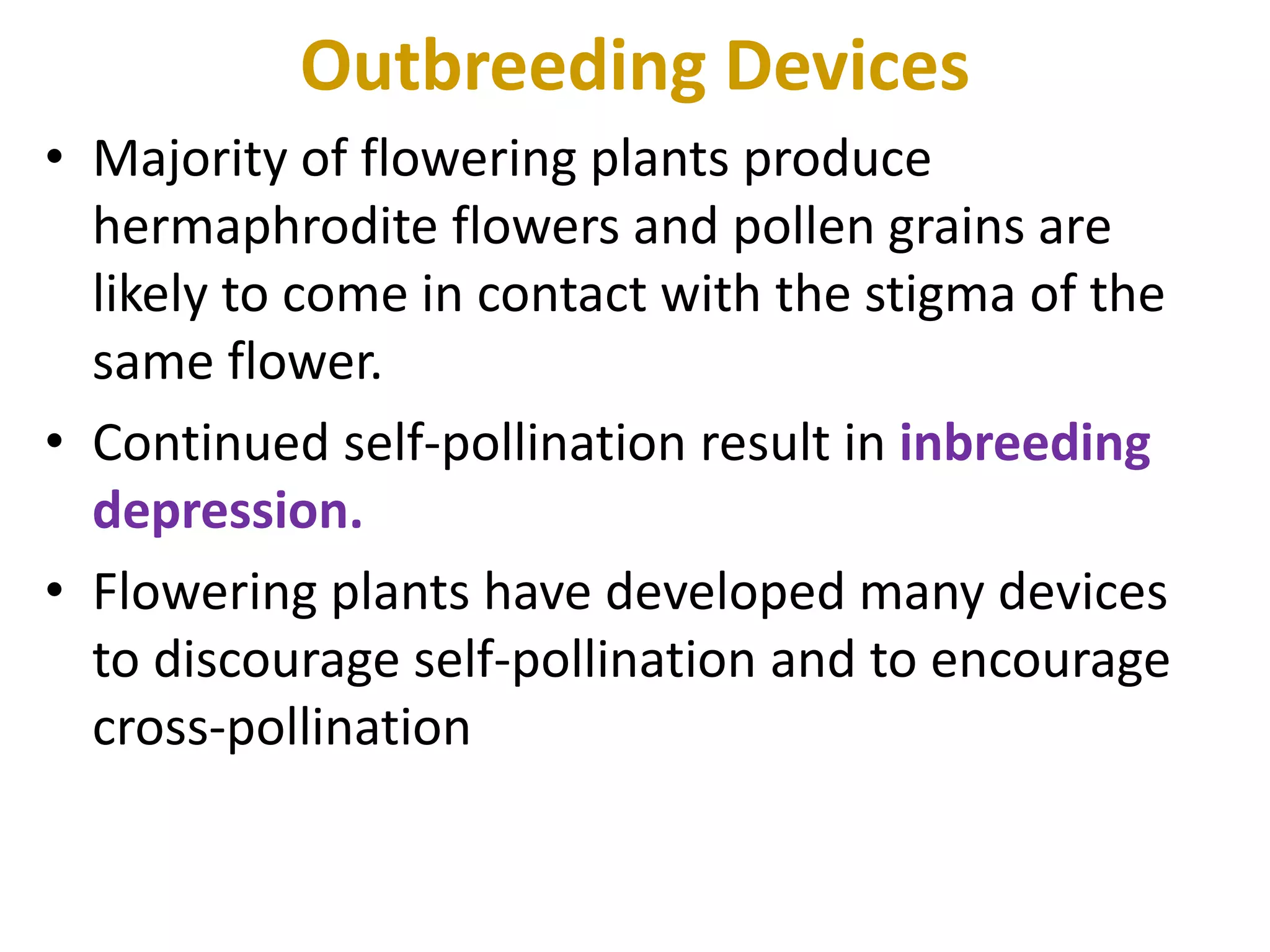 Sexual reproduction in flowering plants | PPTX