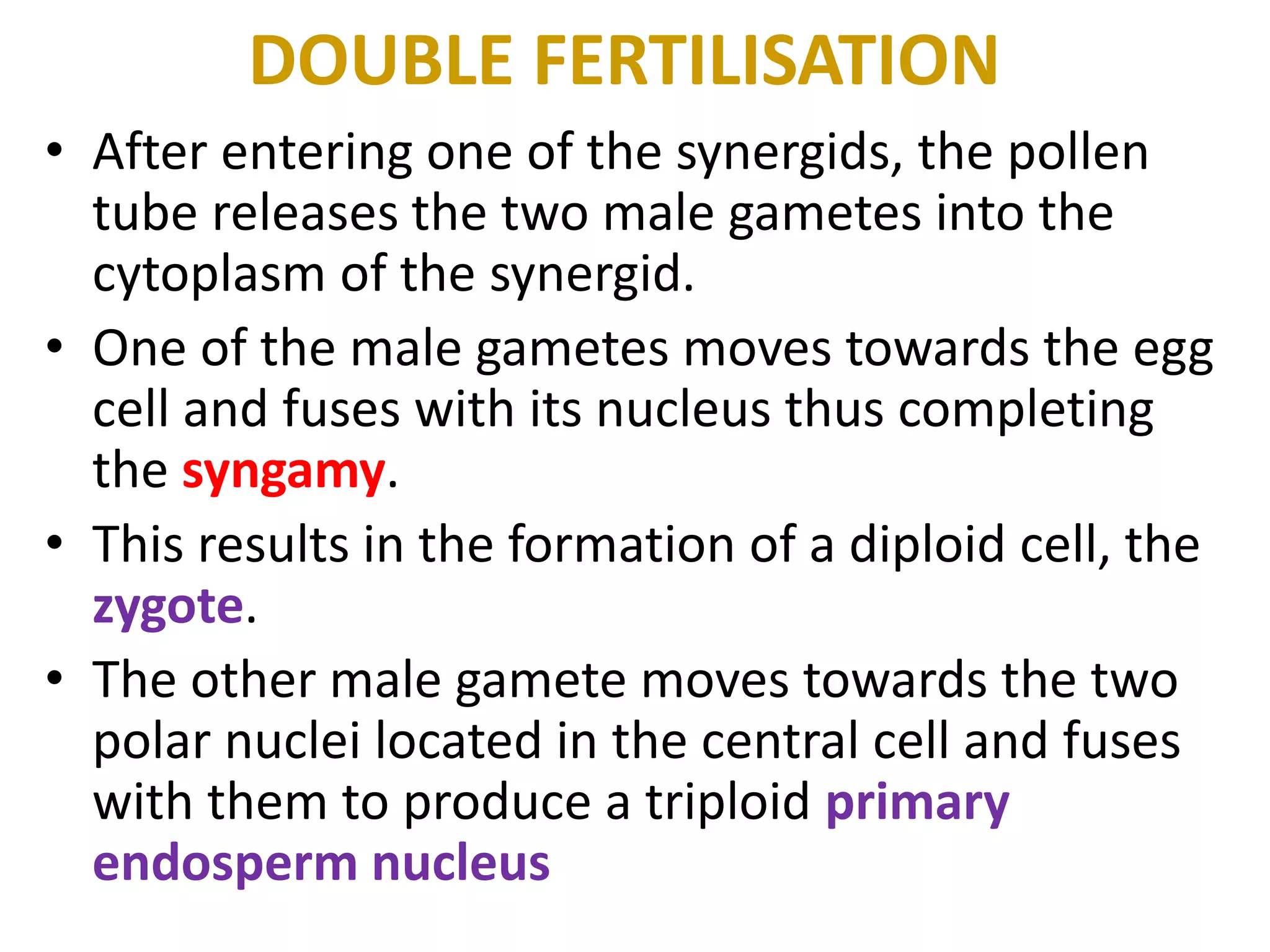 Sexual reproduction in flowering plants | PPTX