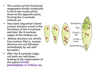 Sexual reproduction in flowering plants | PPTX