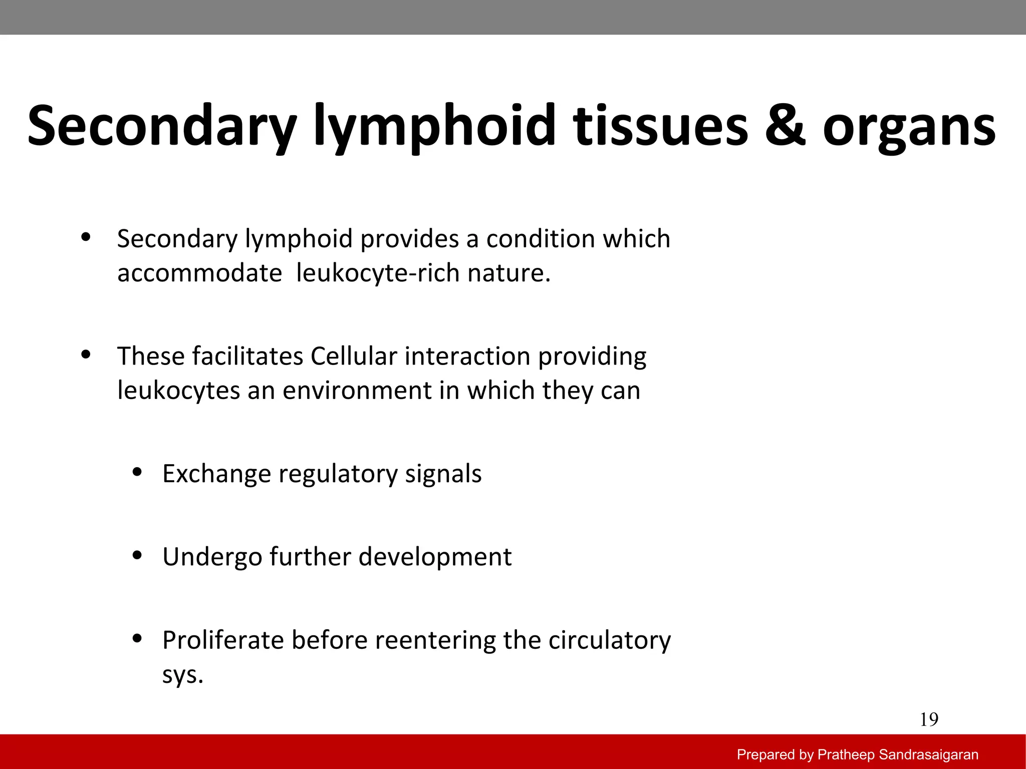 Primary and secondary lymphoid organs | PPT