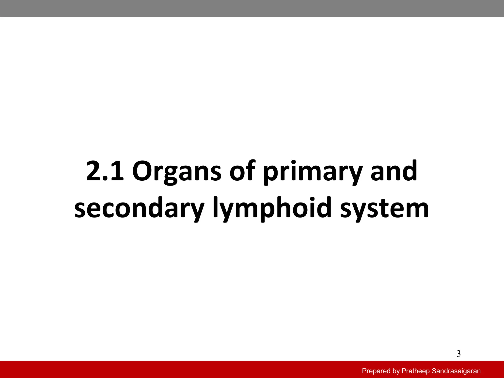 Primary and secondary lymphoid organs | PPT