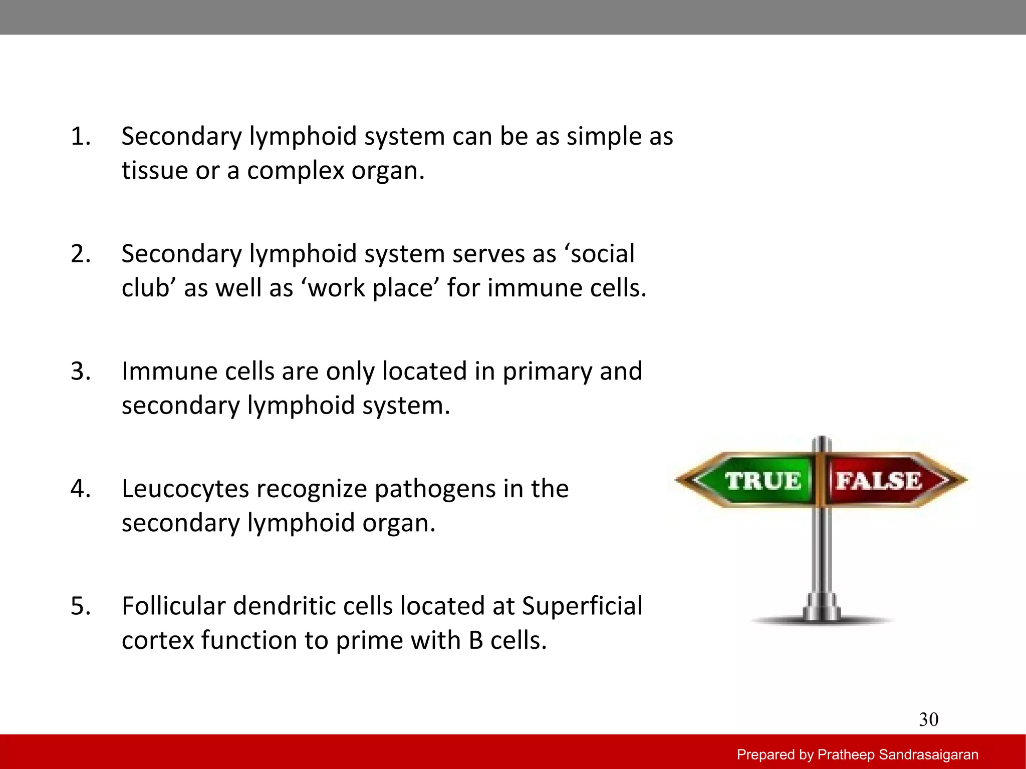 Primary and secondary lymphoid organs | PPT