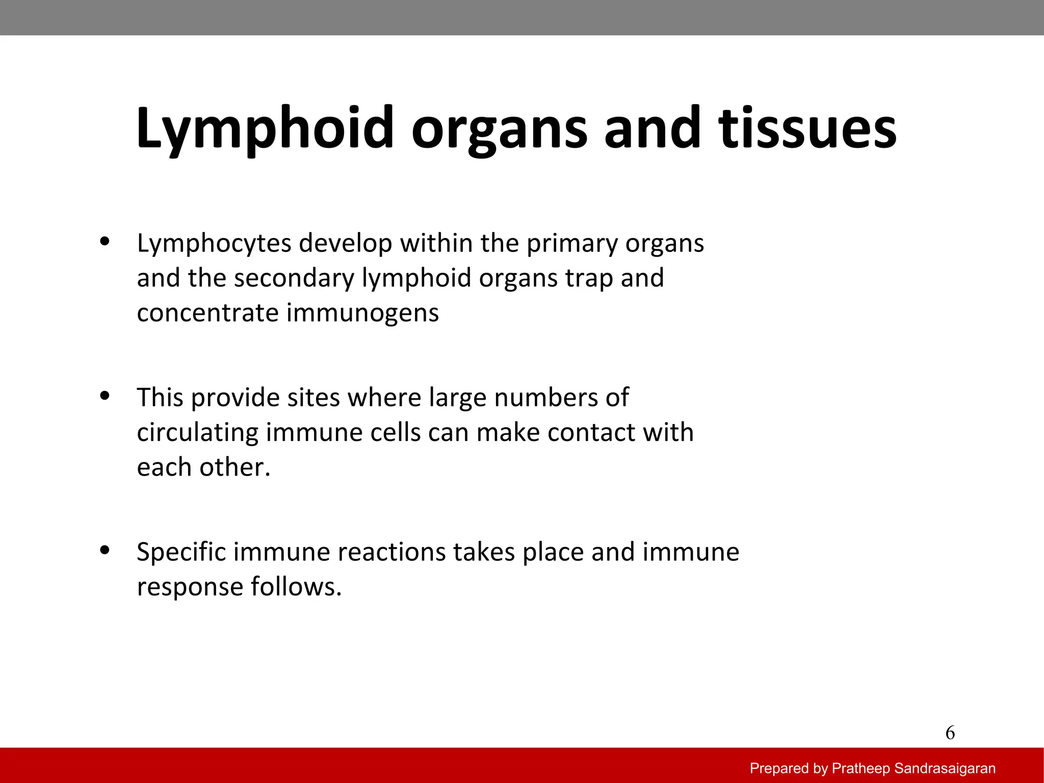 Primary and secondary lymphoid organs | PPT