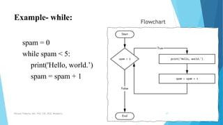 ch2 Python flow control.pdf