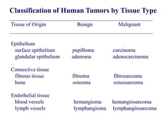 Ch_2_The_Nature_of_Cancer.ppt