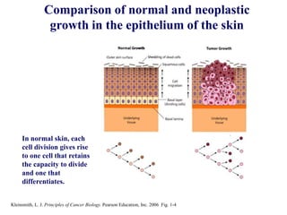 Ch_2_The_Nature_of_Cancer.ppt