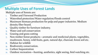 Ch2 the objective of forestry | PPTX