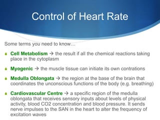 Communication and Homeostasis: Part 3 | PPT