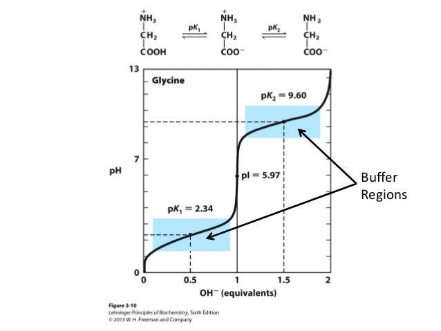 Titration Curve Buffer Region