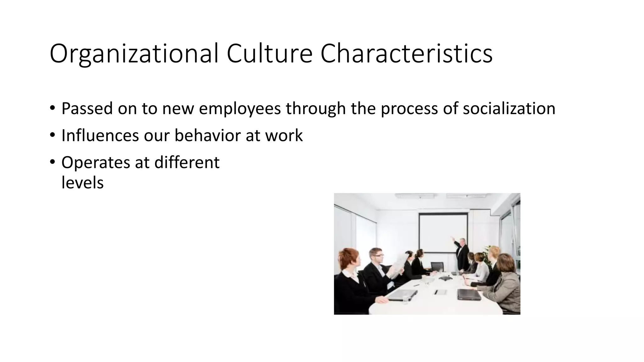 Organizational Culture, Socialization, and Mentoring | PPTX