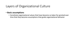 Organizational Culture, Socialization, and Mentoring | PPTX