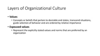Organizational Culture, Socialization, and Mentoring | PPTX