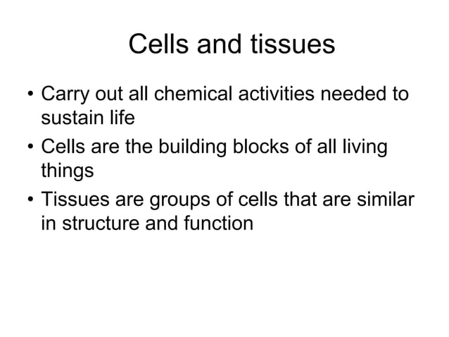 Ch 3 - Cells and Tissues.ppt | Free Download