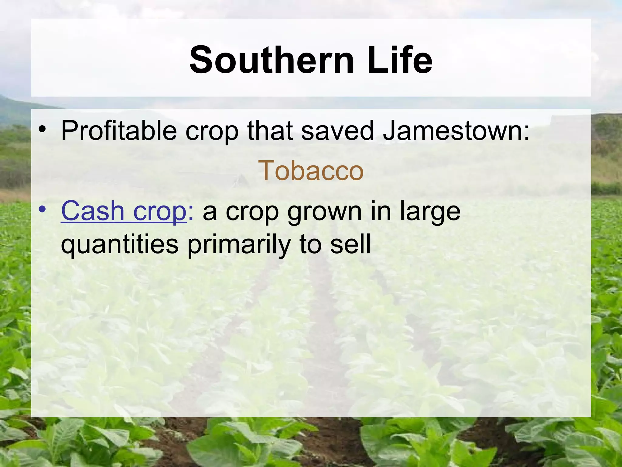 American History Chapter 3, Section 2 | PPT