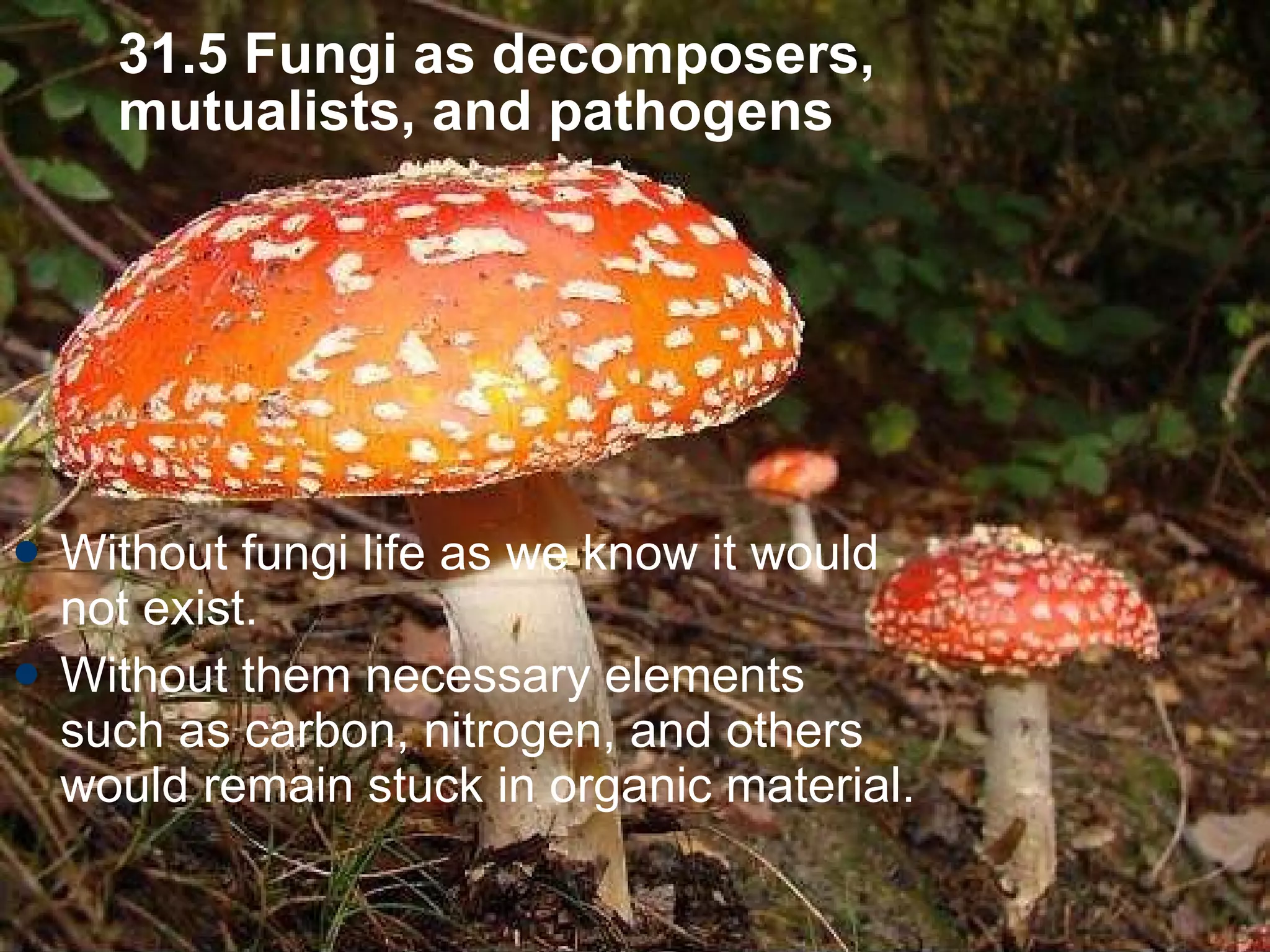 Ch 31 PowerPoint | PPT