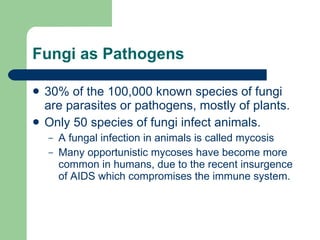 Ch 31 PowerPoint | PPT