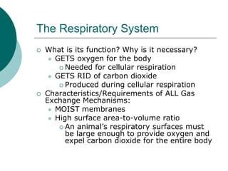 Ch_34_Circulation__Gas_Exchange.pptx
