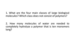 Biomolecule Examples | PPT