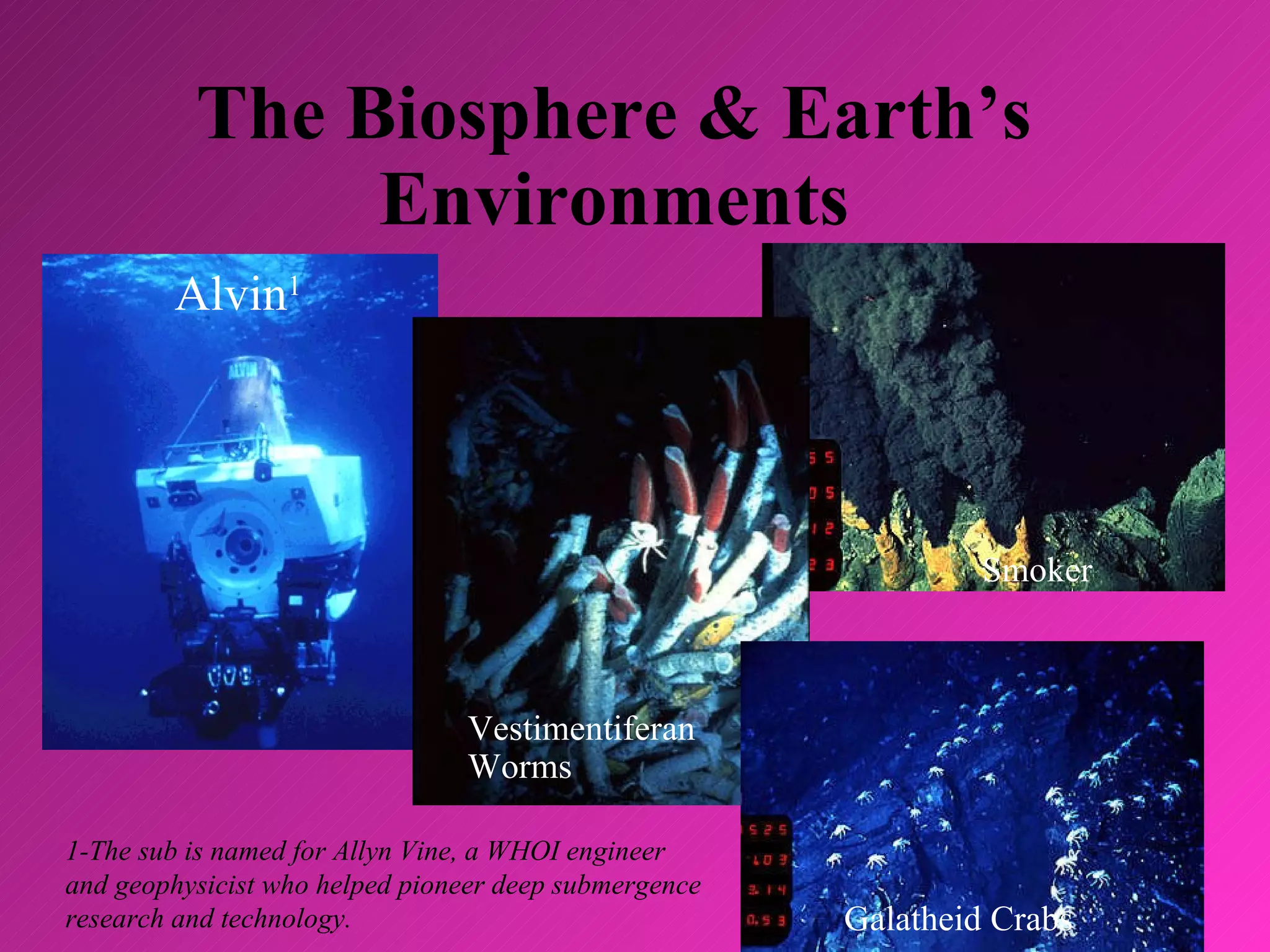 Ch 34: The Biosphere & Earth's Environments | PPT
