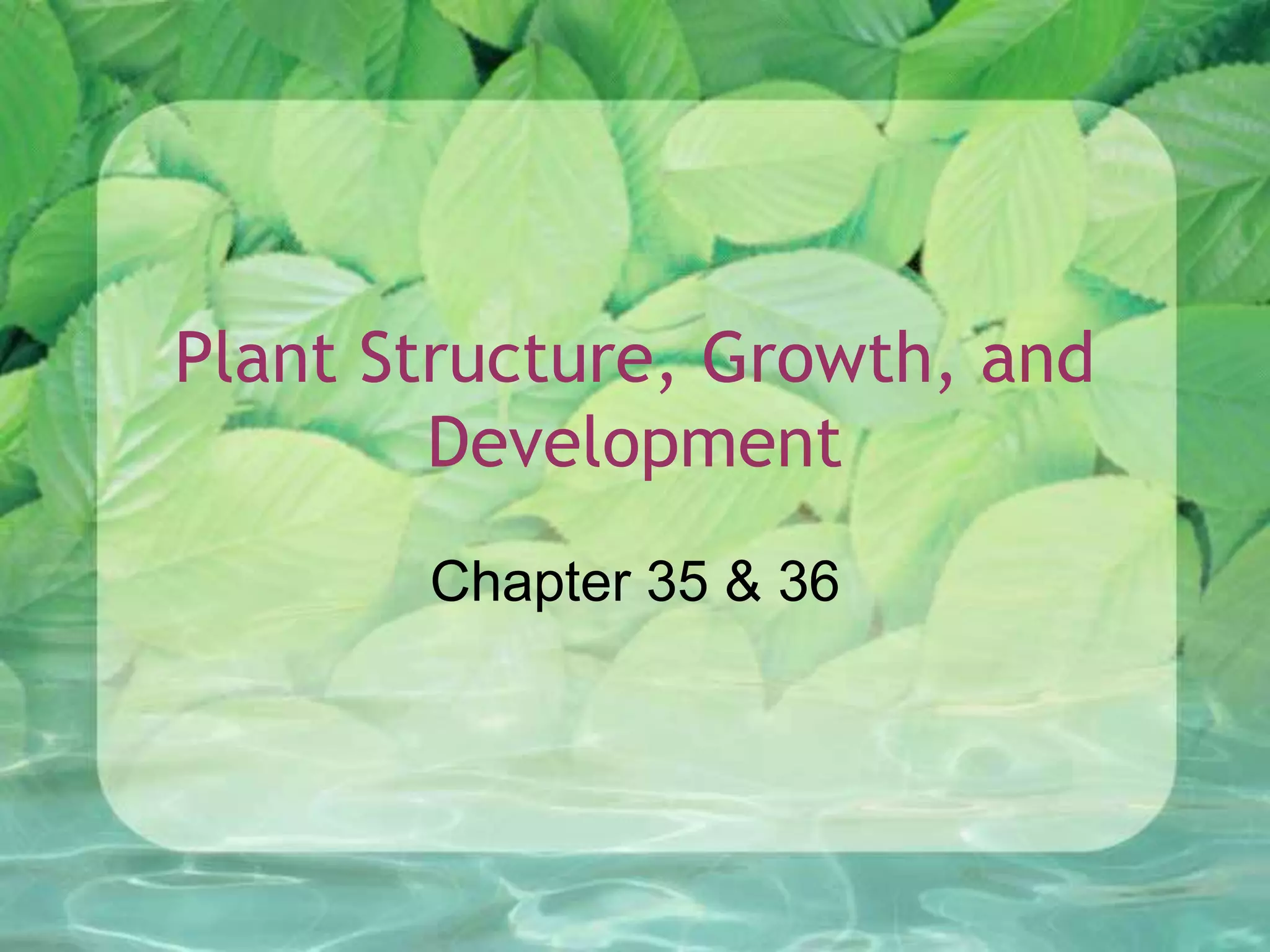 Ch35_36_Plant Structure, Growth, and Development.ppt