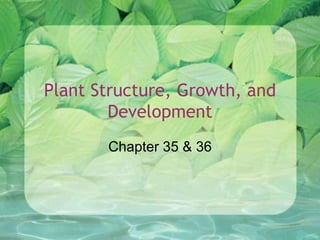 Ch35_36_Plant Structure, Growth, and Development.ppt