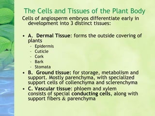Ch35_36_Plant Structure, Growth, and Development.ppt