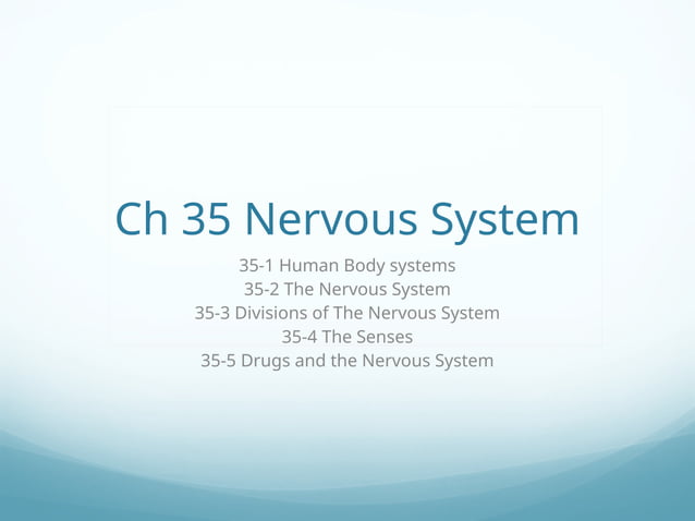 Chapter 35 Butterfly Biology Complete PPT 5_Nervous_System | PPT