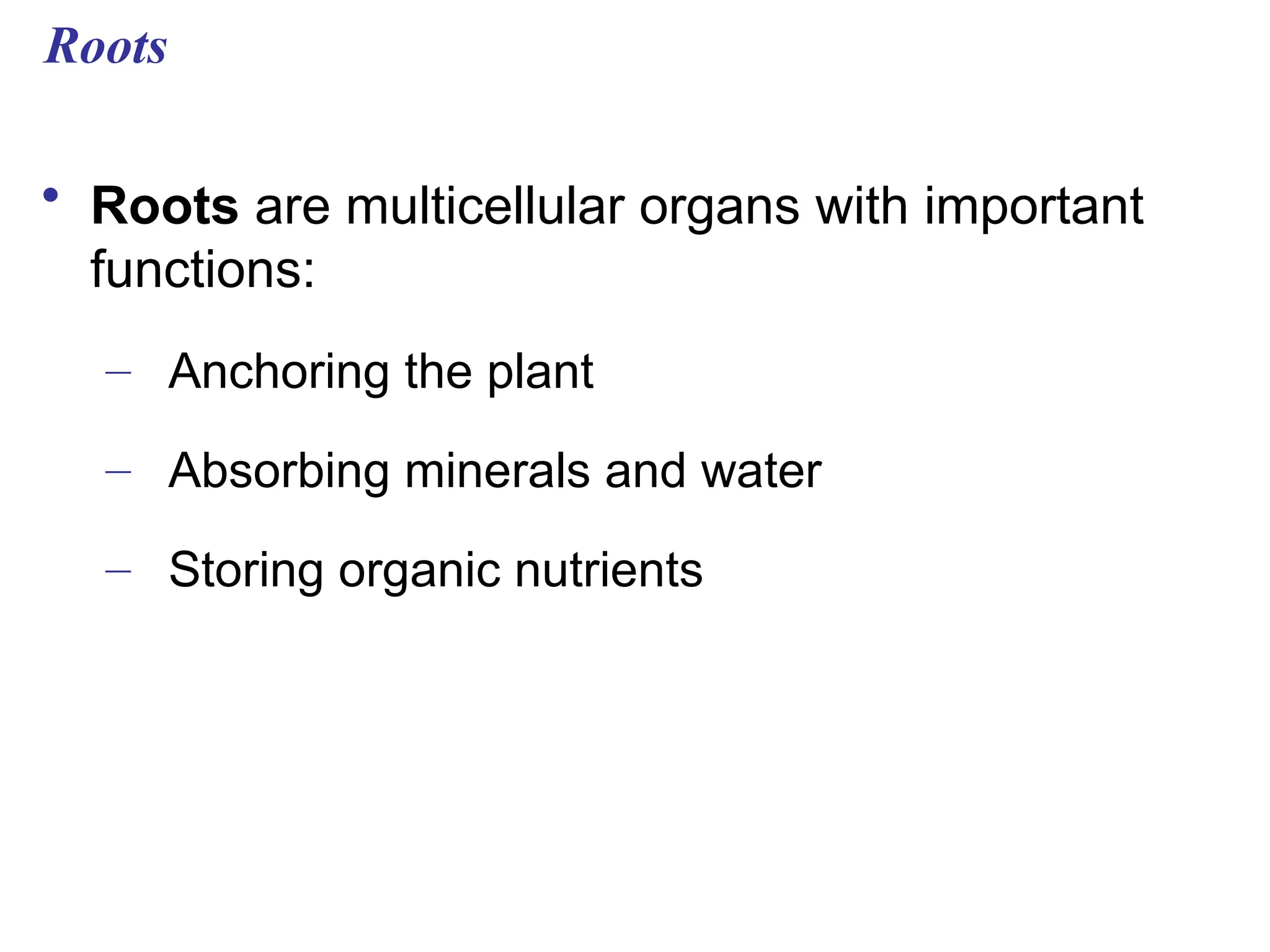 Anatomy of Vascular Plants and land plants.ppt