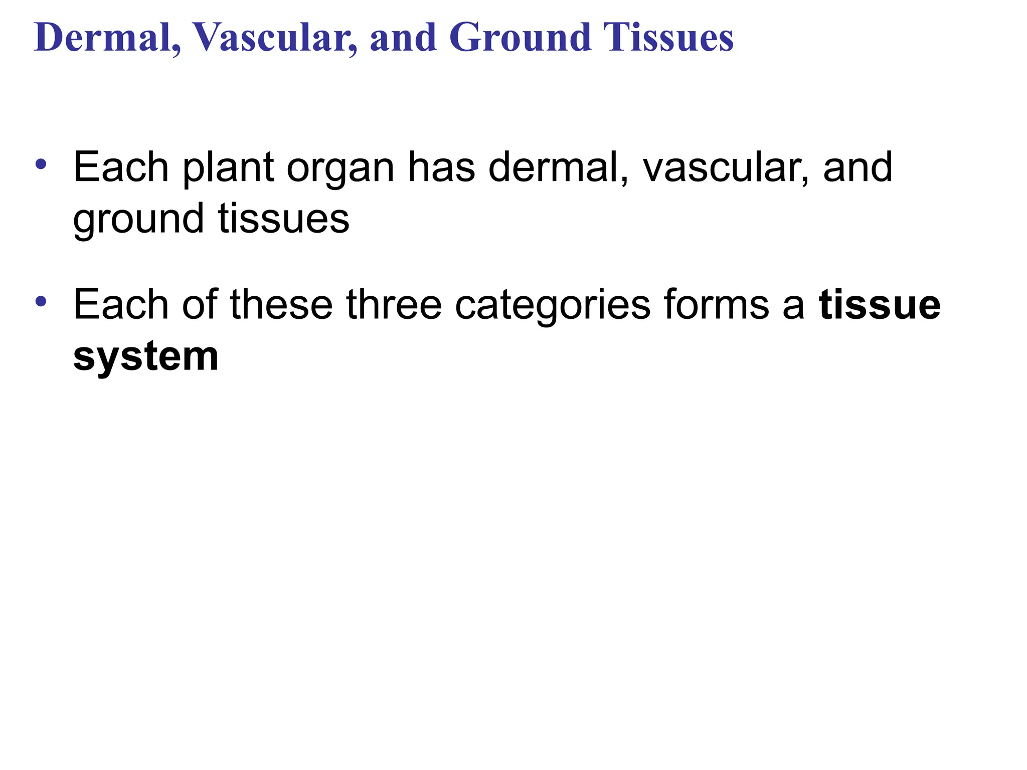 Anatomy of Vascular Plants and land plants.ppt