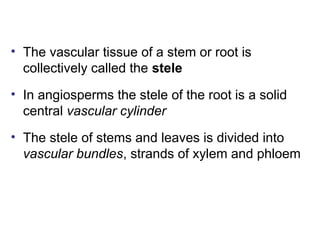 Anatomy of Vascular Plants and land plants.ppt