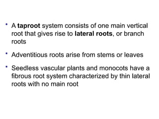 Anatomy of Vascular Plants and land plants.ppt