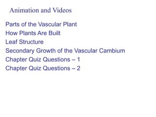 Anatomy of Vascular Plants and land plants.ppt