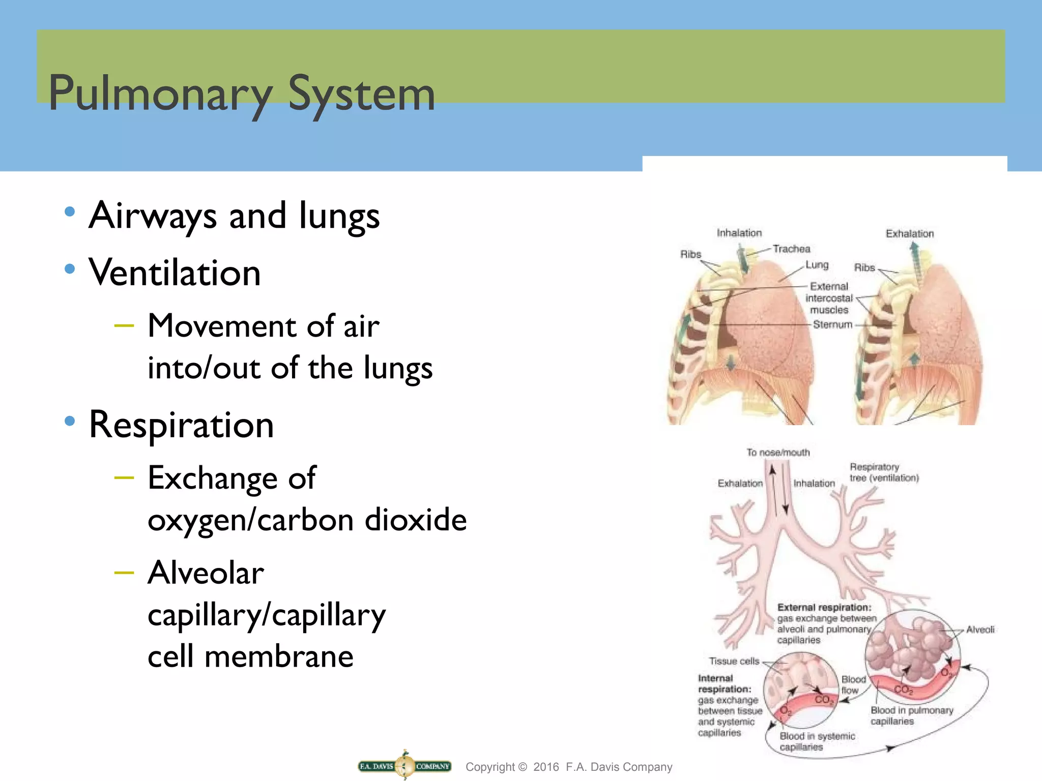 Ch36 oxygenation | PPT