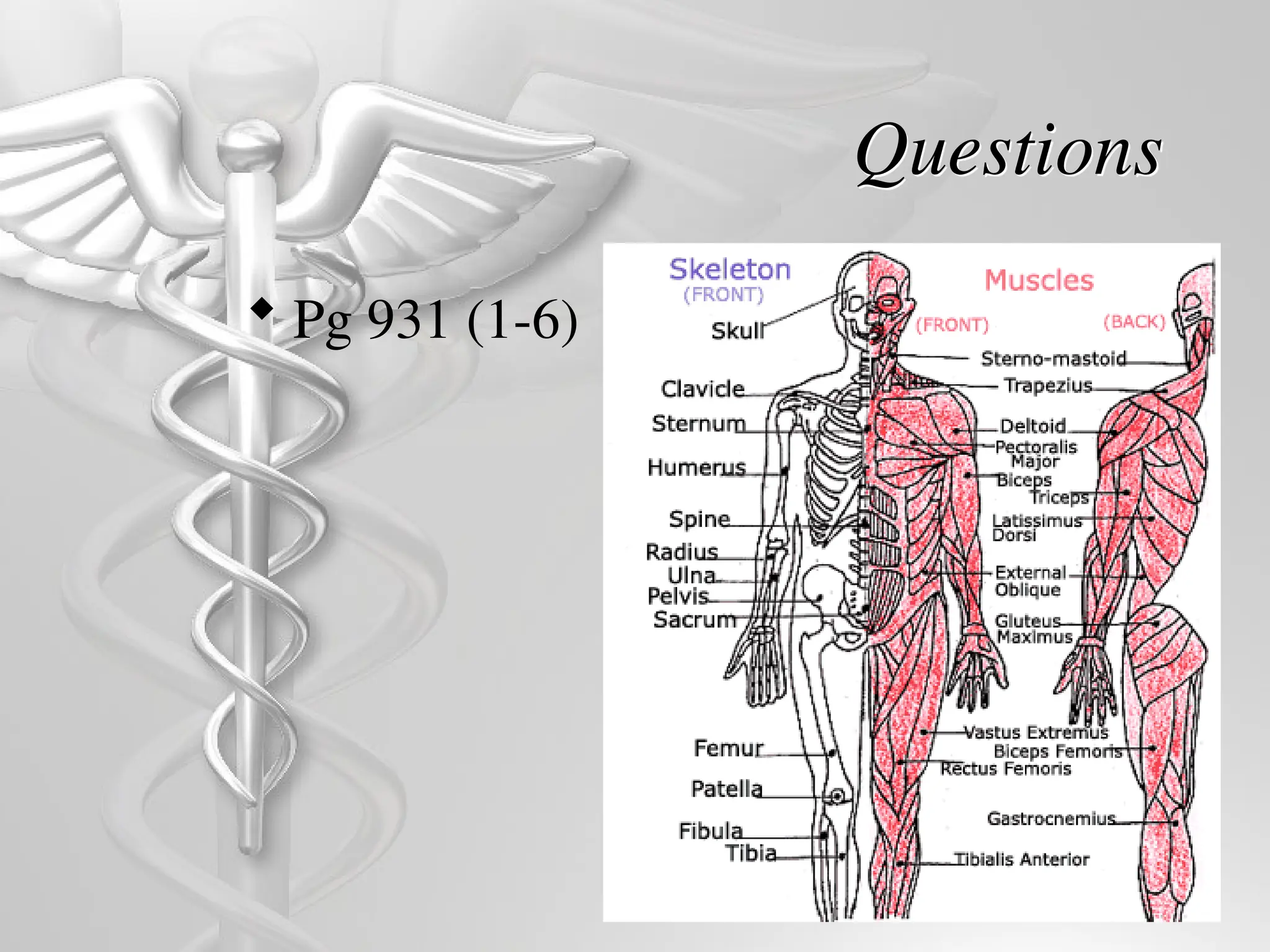 Chapter_36_Skeletal_Muscular_and_Integ.ppt