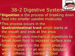 Chapter___38_Digestion_and_Excretory.ppt