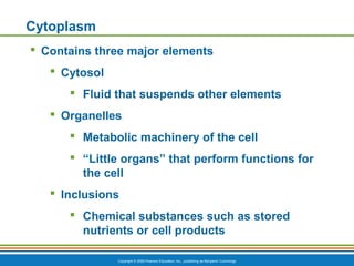 CVA A&P - Chapter 3a Cell Parts | PPT