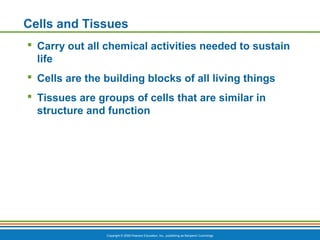 CVA A&P - Chapter 3a Cell Parts | PPT